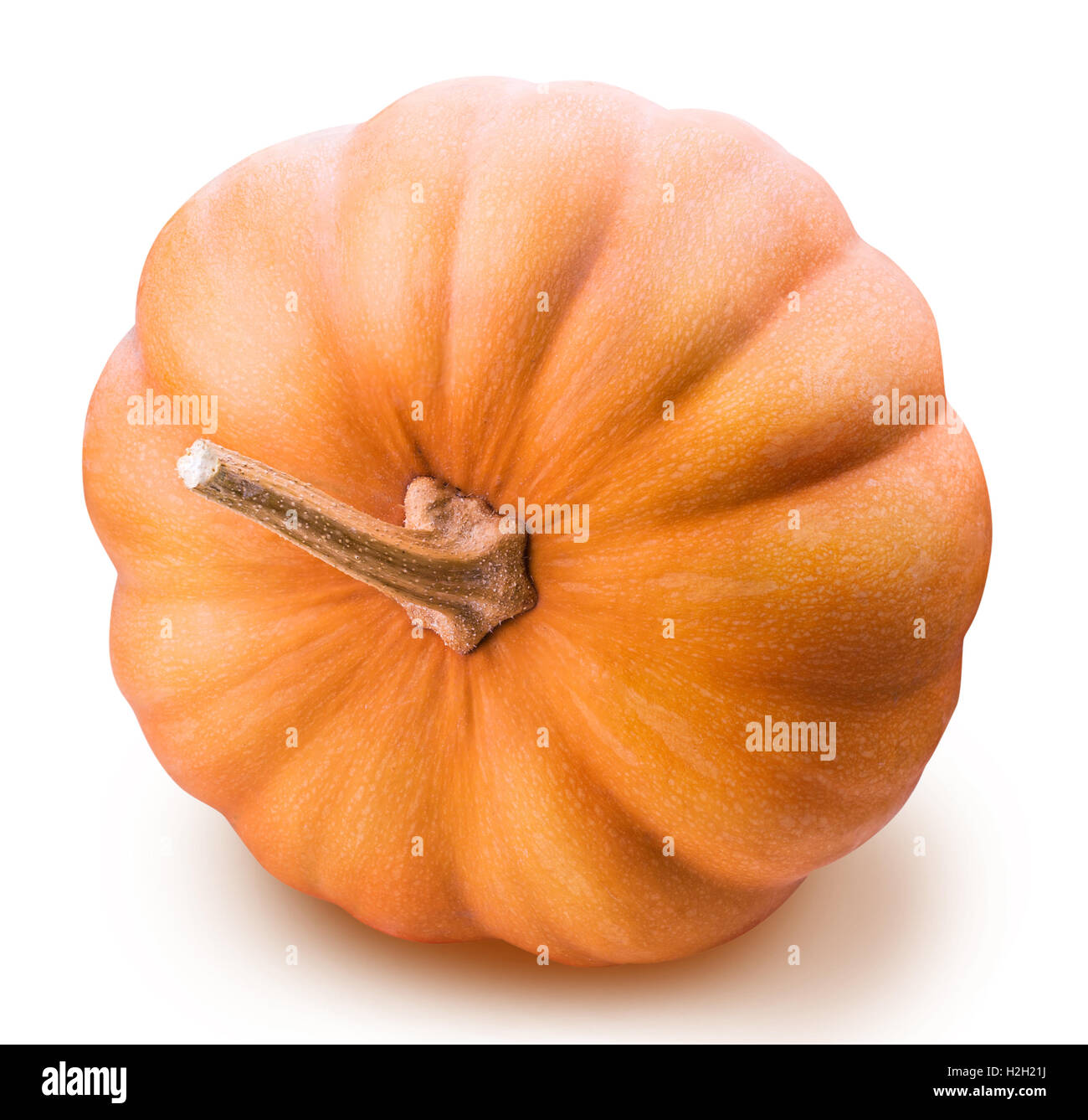 pumpkin isolated on white background clipping path Stock Photo - Alamy