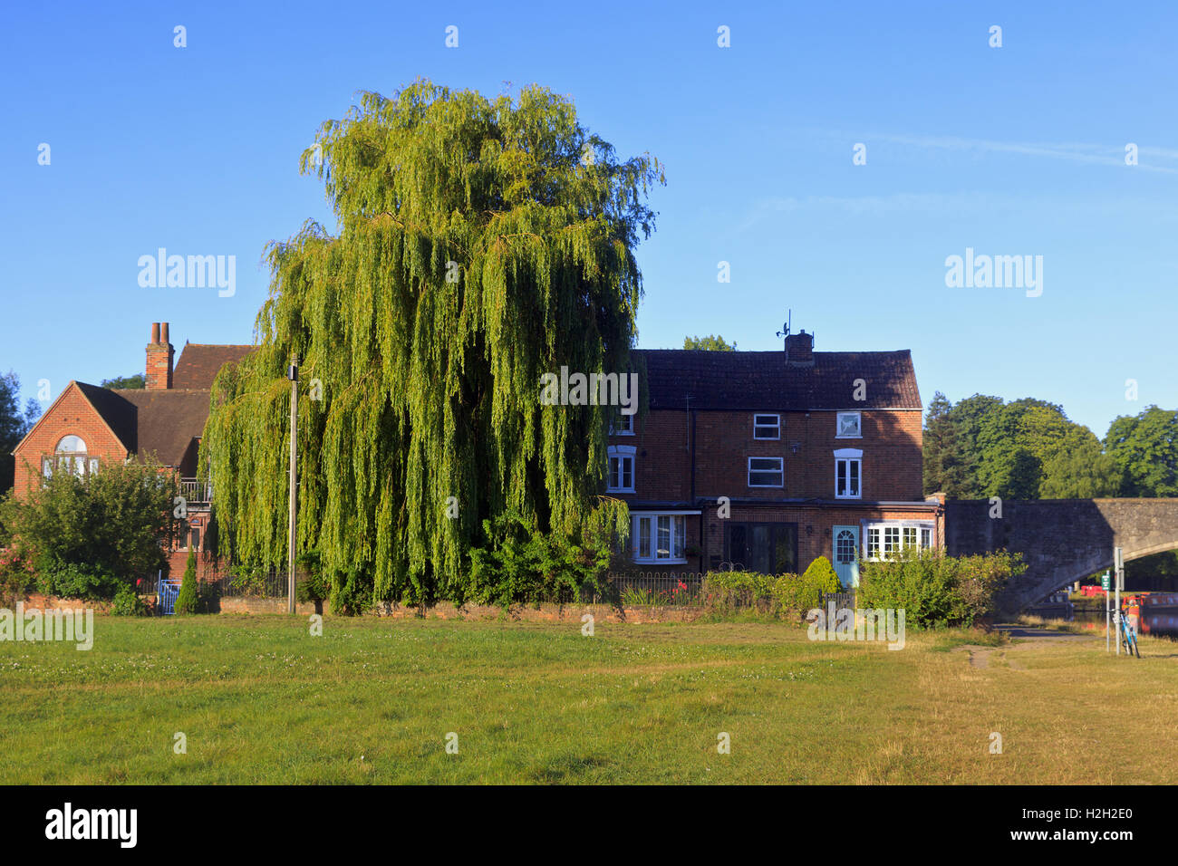Canopy Of Willow High Resolution Stock Photography and Images - Alamy