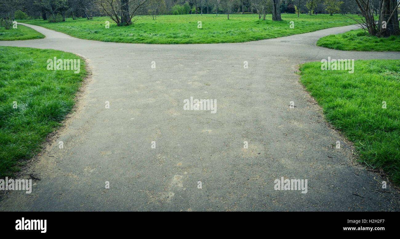 A fork in the park. Numerous directions can be taken Stock Photo - Alamy
