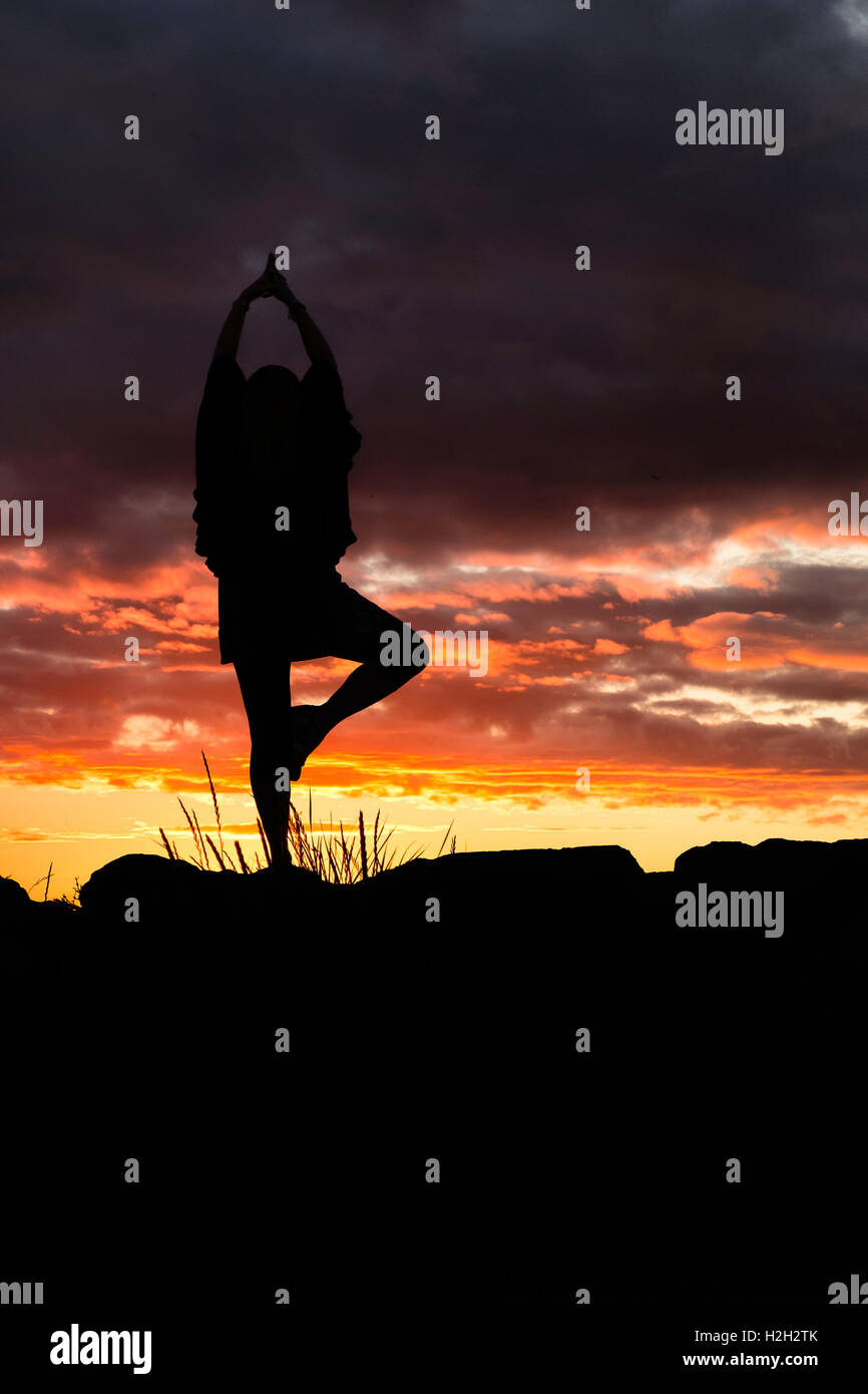 Tree pose yoga hi-res stock photography and images - Alamy