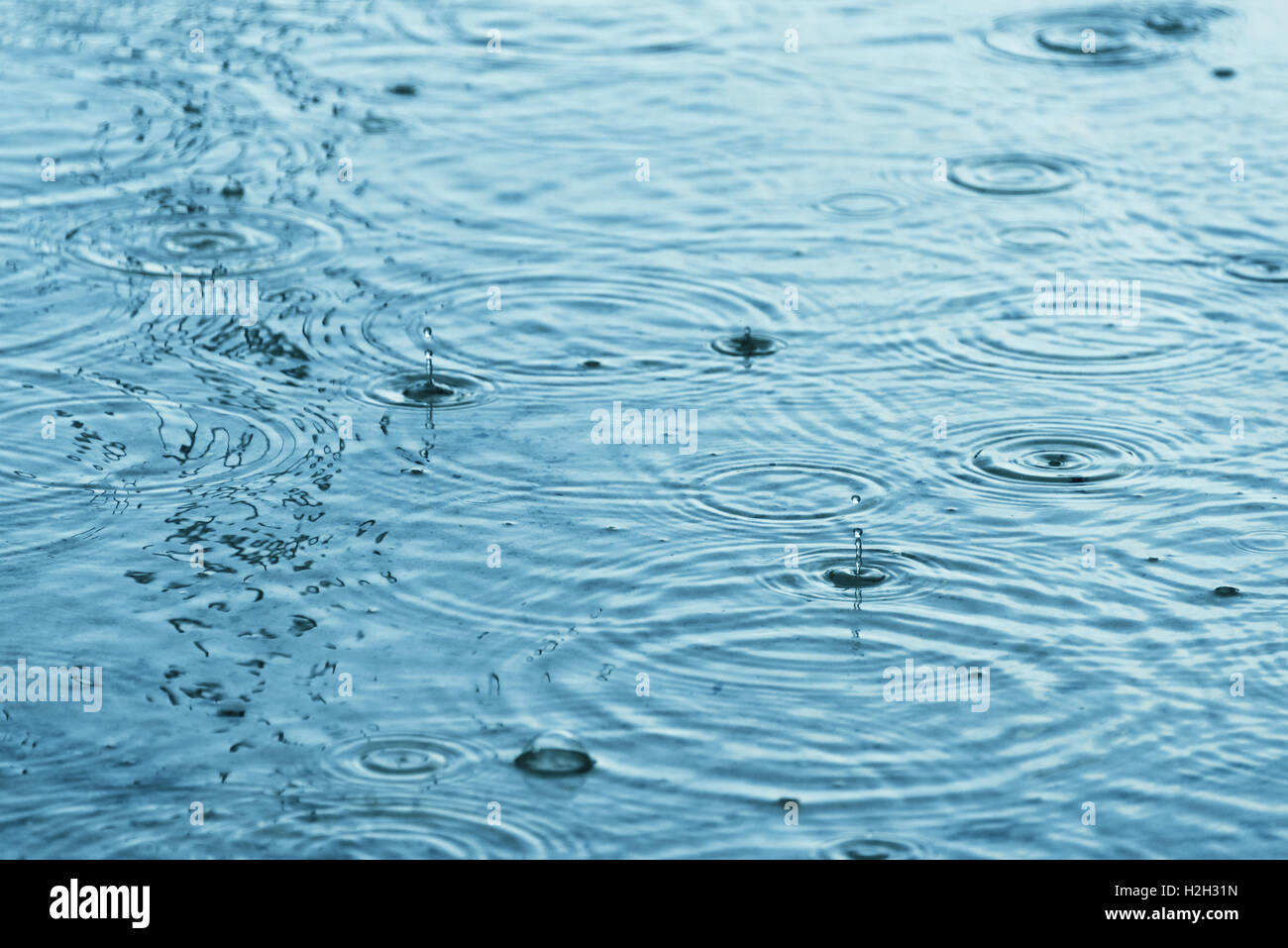 Raindrops creating concentric circles and droplets on a puddle water ...