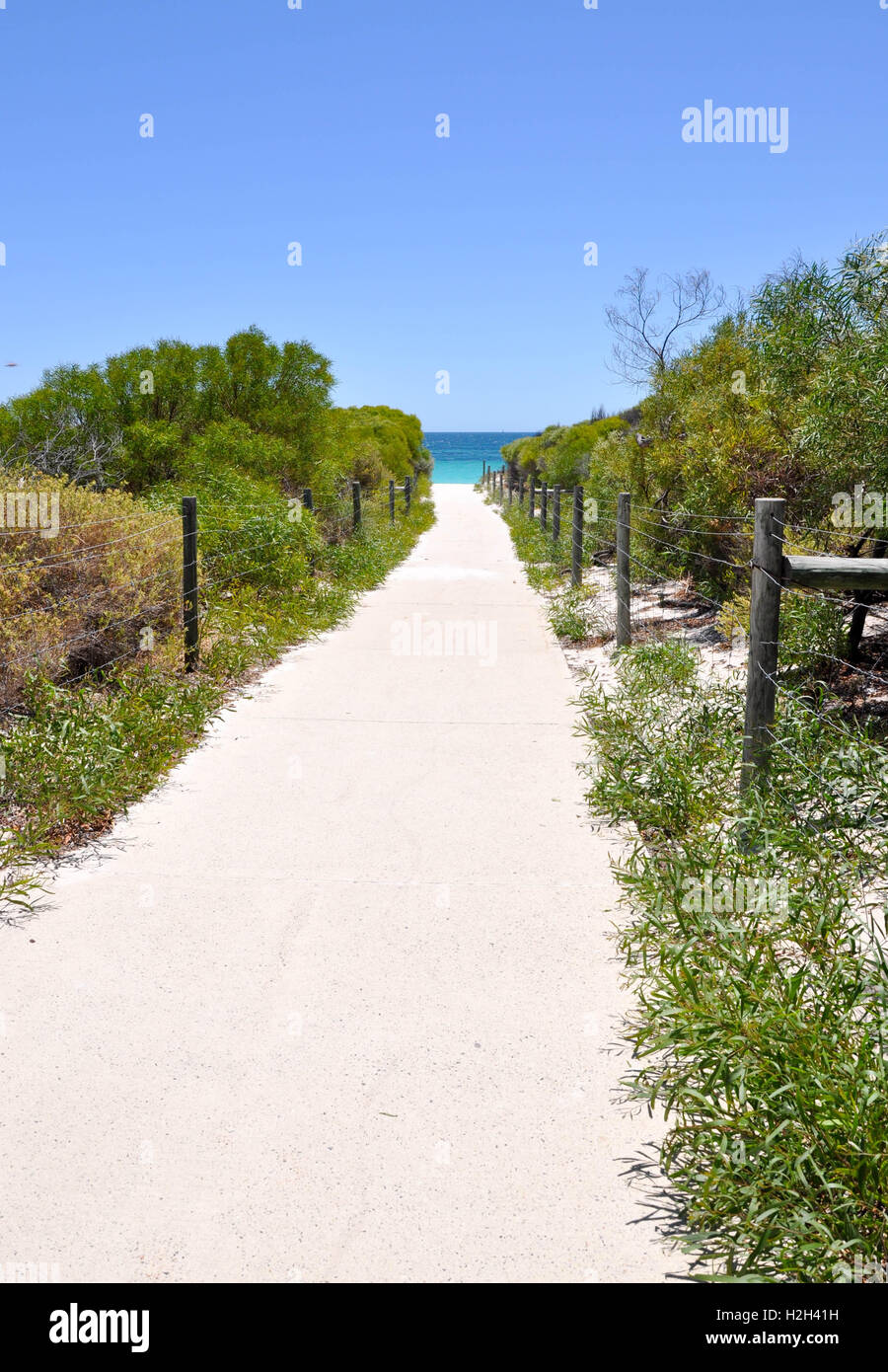 Vegetated dunes hi-res stock photography and images - Alamy
