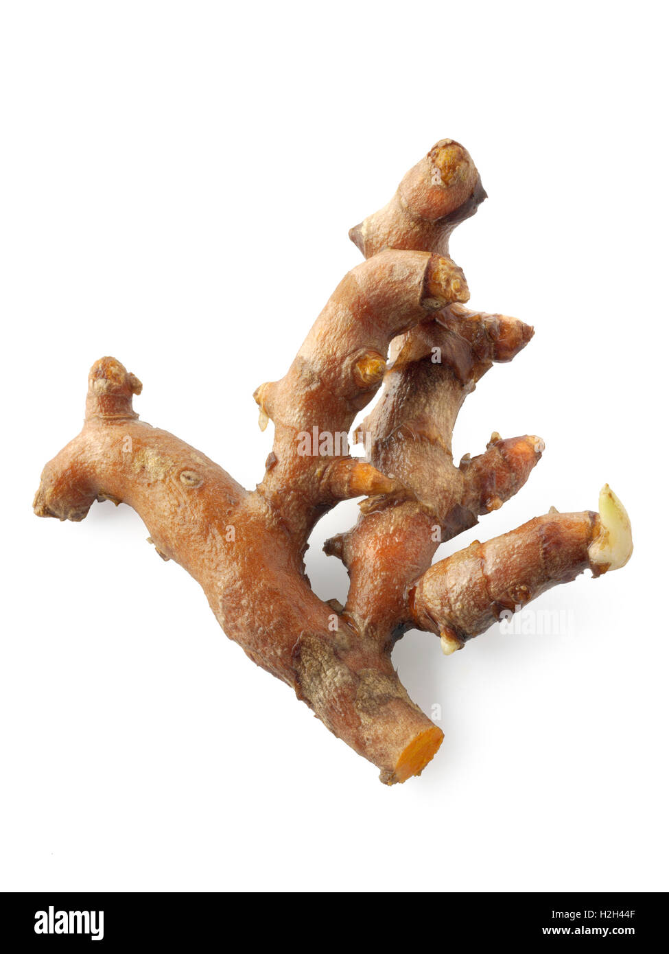 Curcuma longa hi-res stock photography and images - Alamy