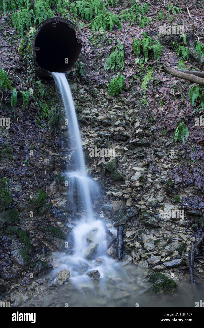 A diverted stream pouring from a pipe in Benthall Woods beside the ...