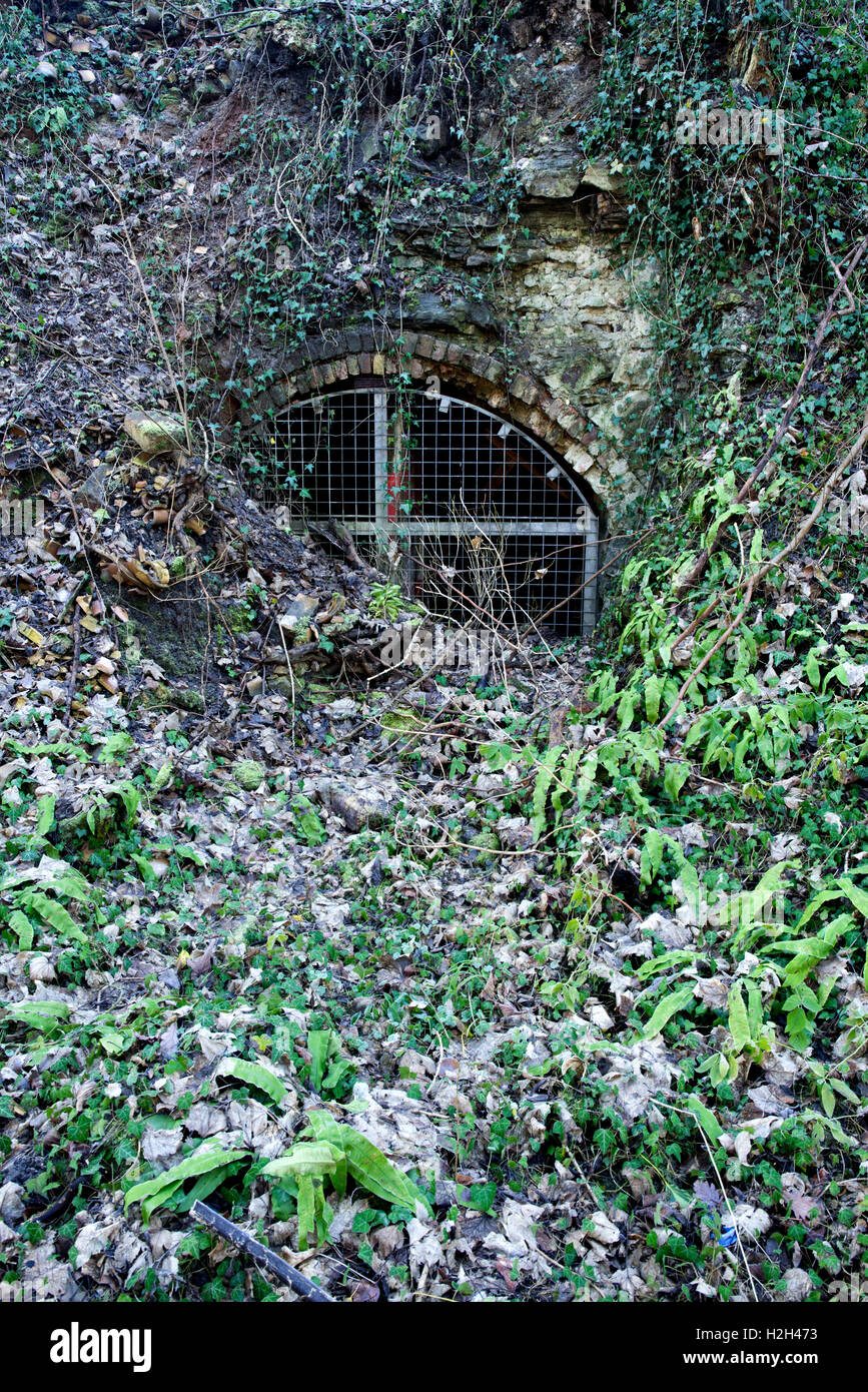 Industrial remains, now collapsing and half buried in Benthall Woods ...