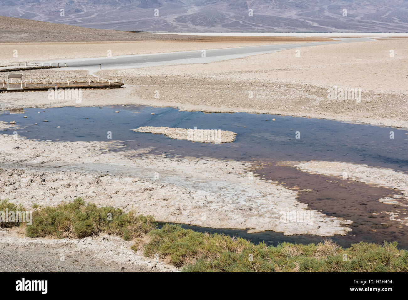 Badwater pool in Death Valley National Park, California Stock Photo - Alamy