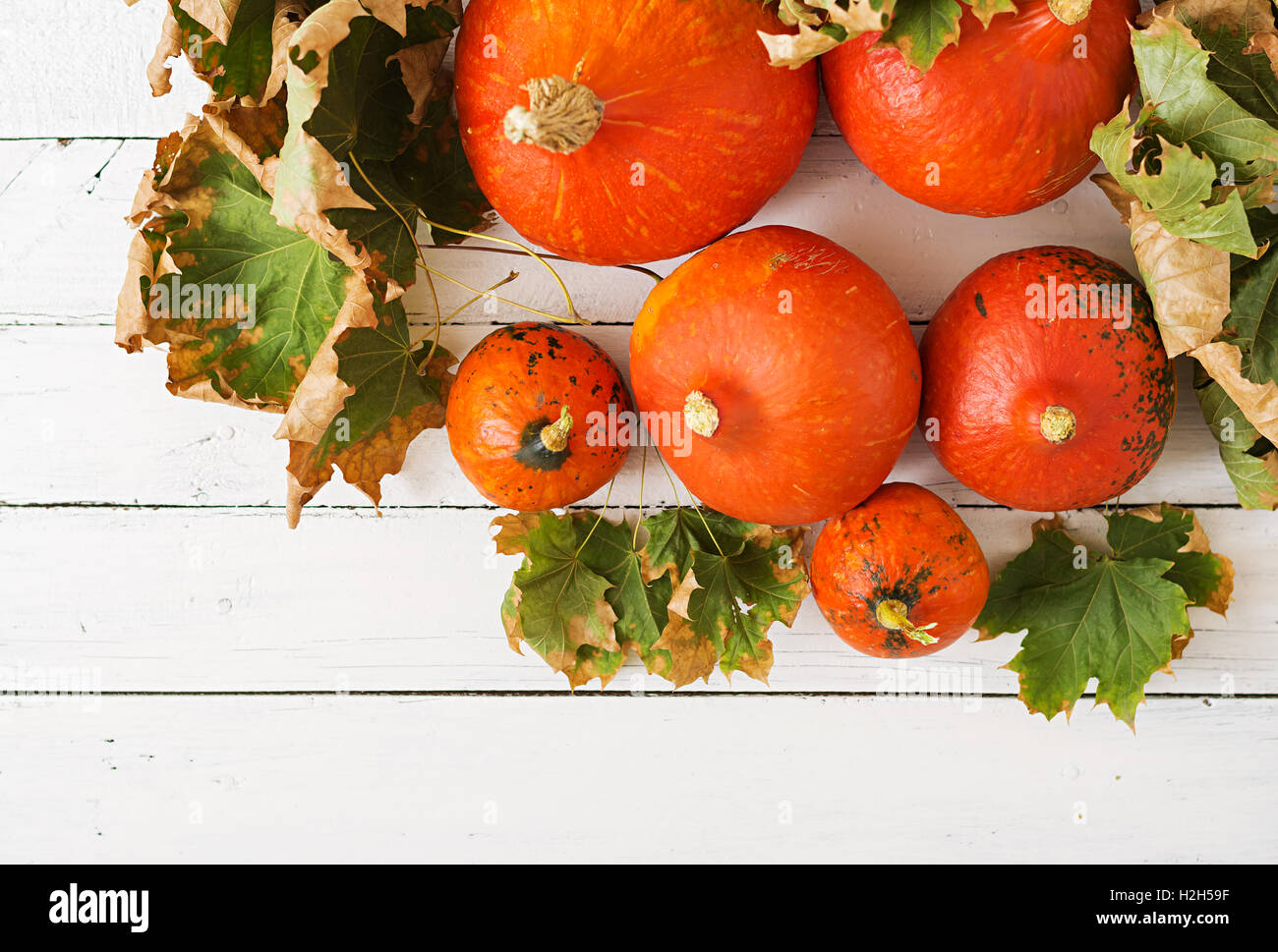 Halloween assorted pumpkins on market hi-res stock photography and ...