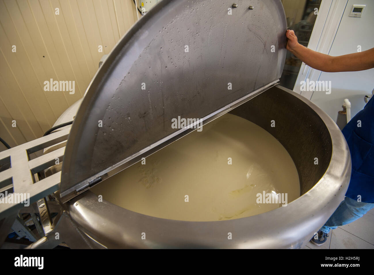 Cheese production at dairy farm Stock Photo - Alamy