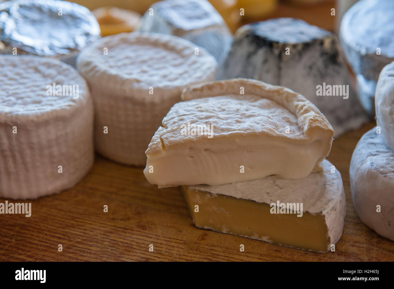 Set of different cheese Stock Photo - Alamy
