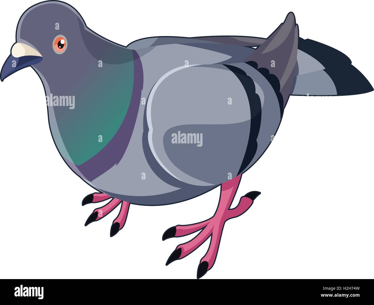 Profile pigeon Stock Vector Images - Alamy