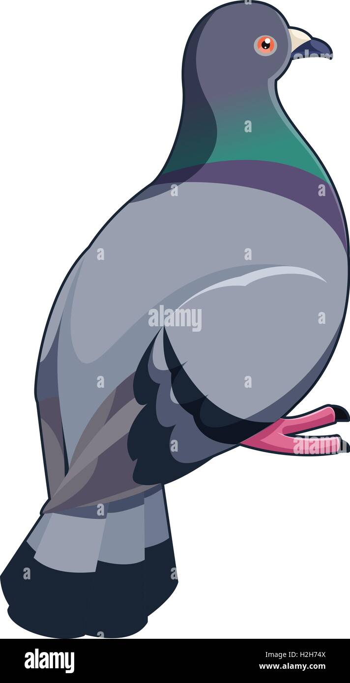 Pigeon dove bird standing Stock Vector Images - Alamy