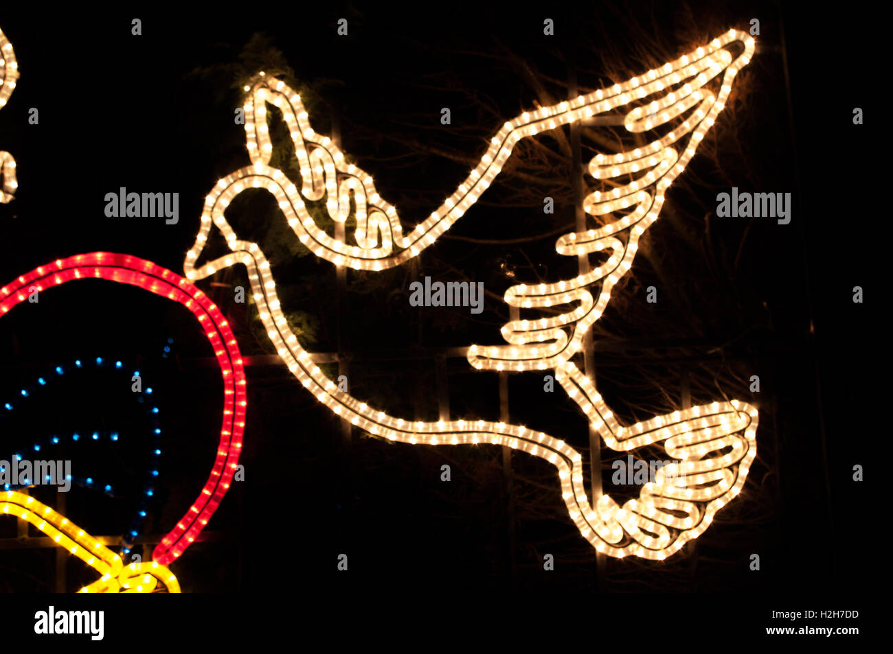 Christmas dove lights illuminated at night Stock Photo - Alamy