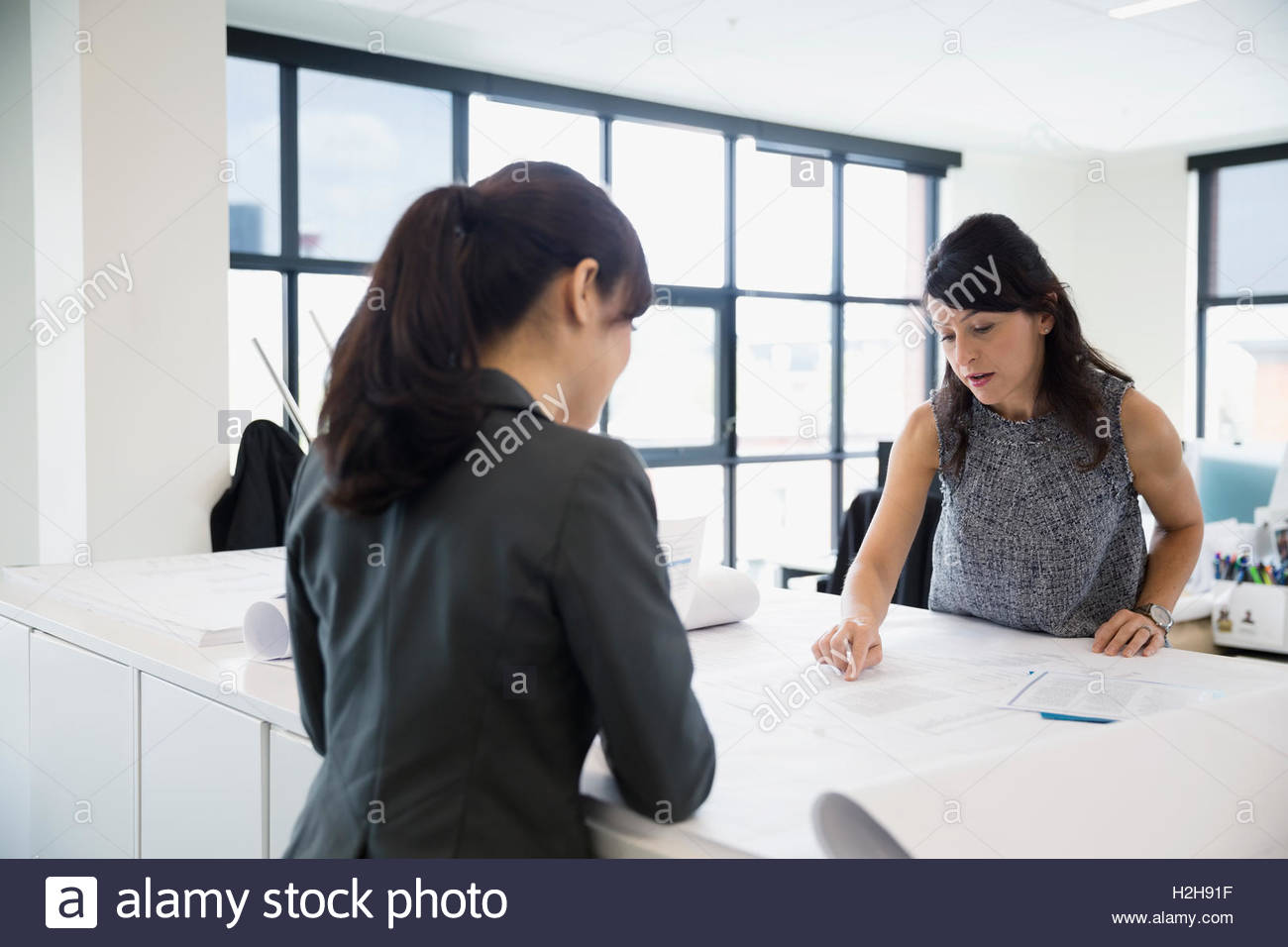Female architects reviewing paperwork in office Stock Photo - Alamy
