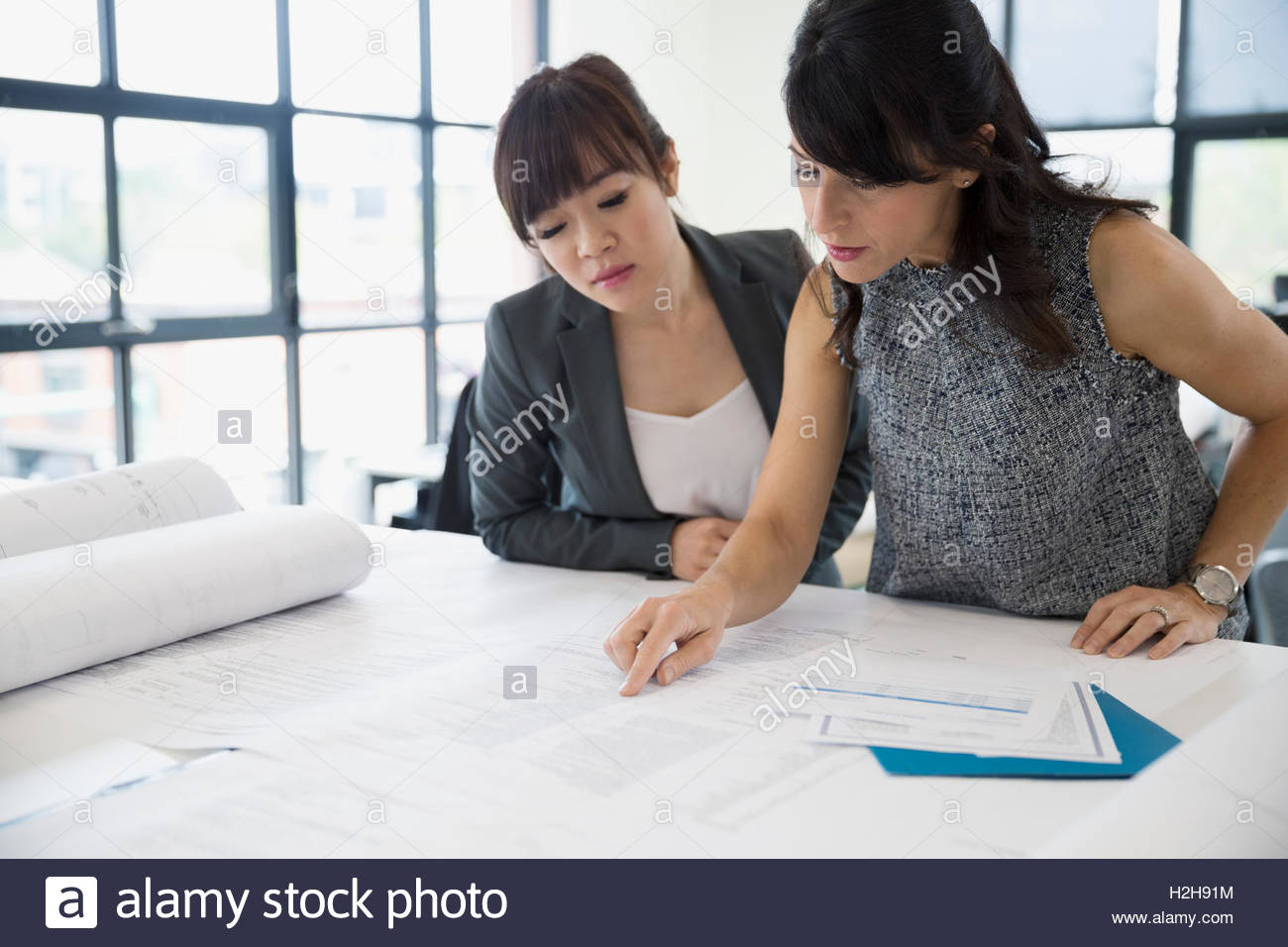 Female architects reviewing paperwork in office Stock Photo - Alamy