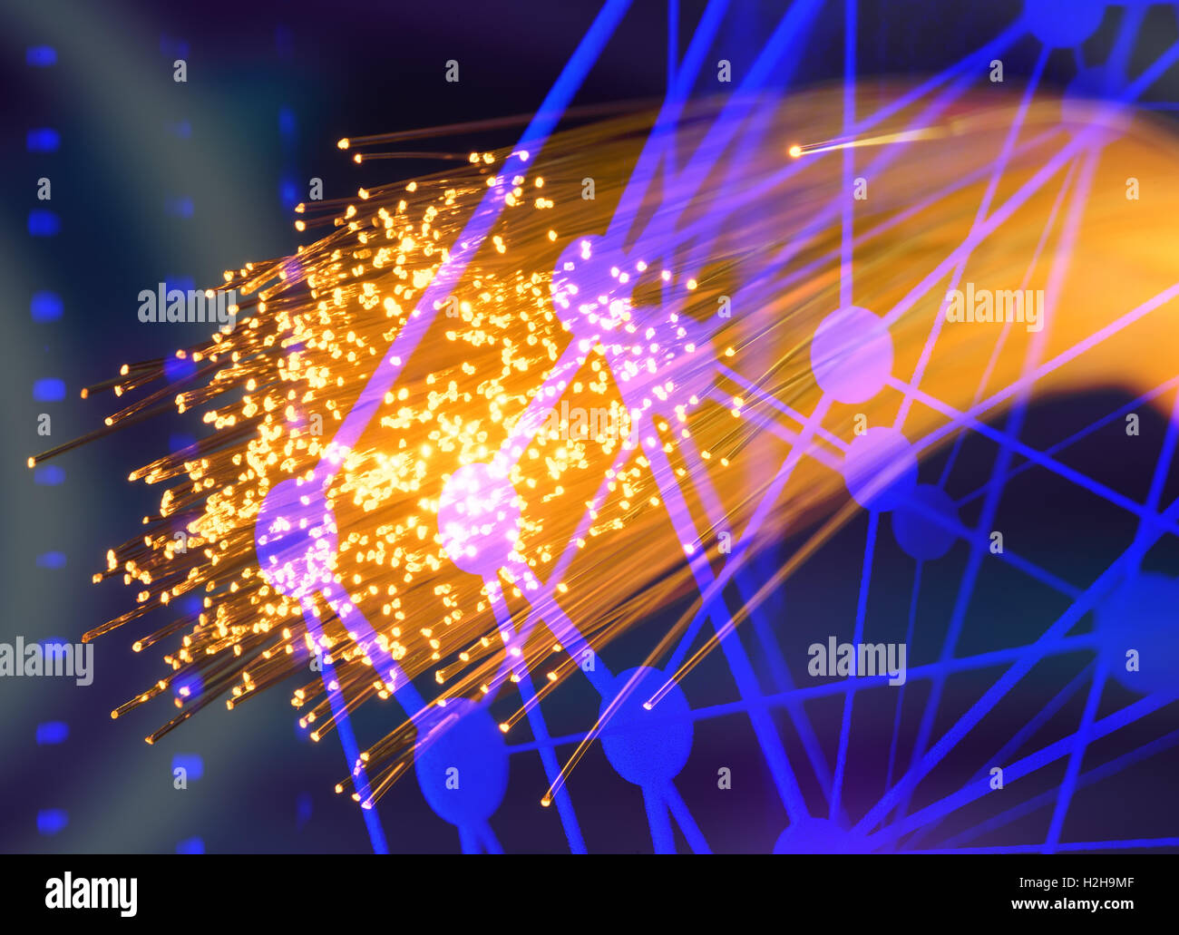 fiber optical network cable Stock Photo - Alamy