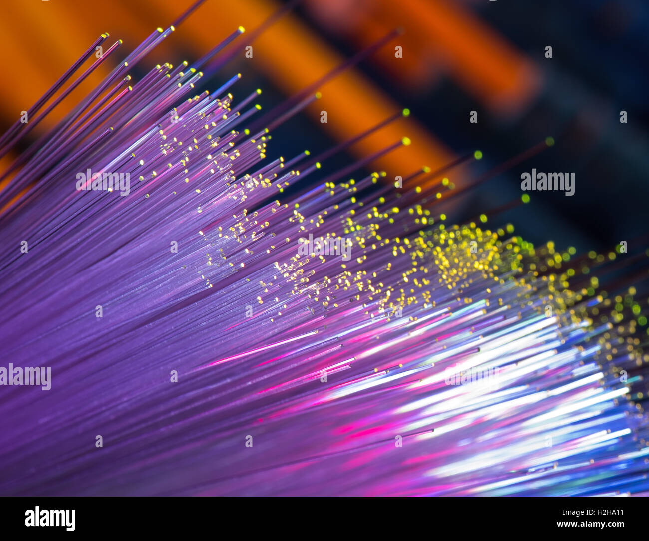 fiber optical network cable Stock Photo - Alamy