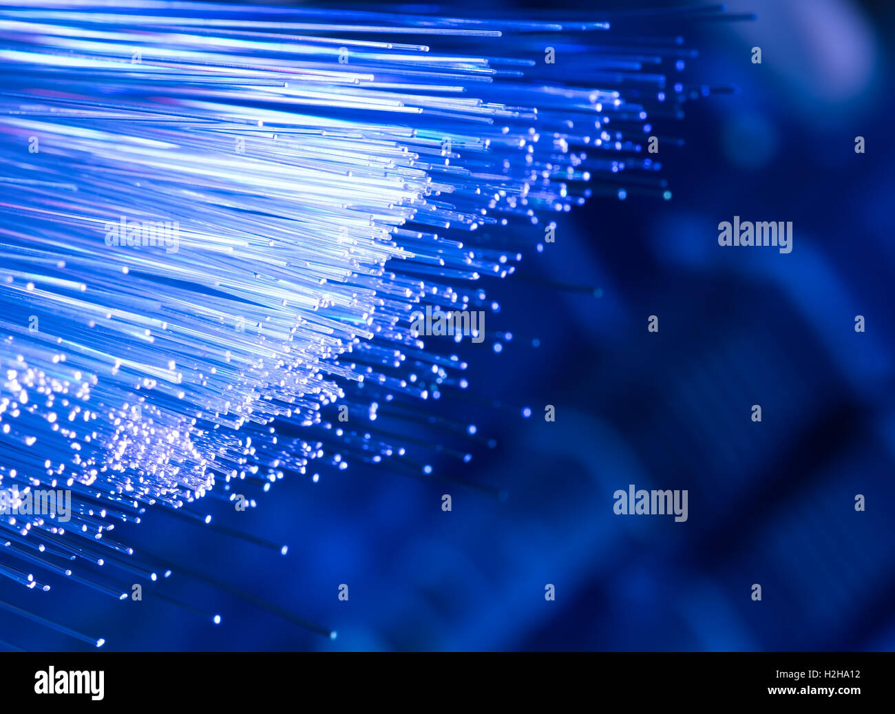 fiber optical network cable Stock Photo - Alamy