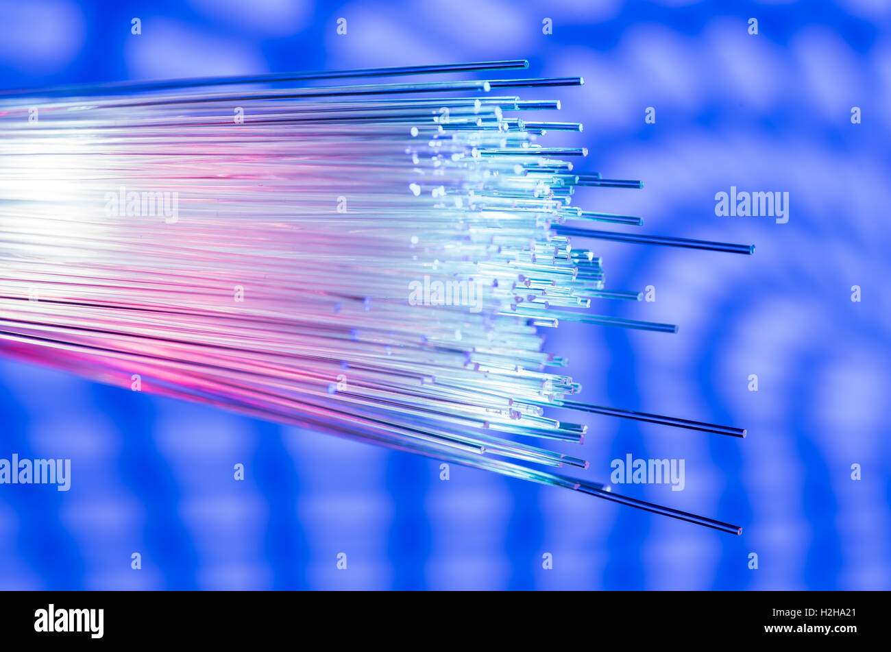 fiber optical network cable Stock Photo - Alamy