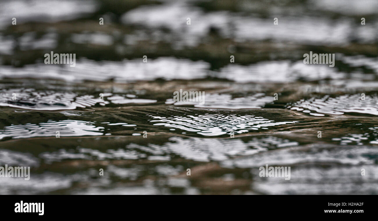 Moving with current hi-res stock photography and images - Alamy