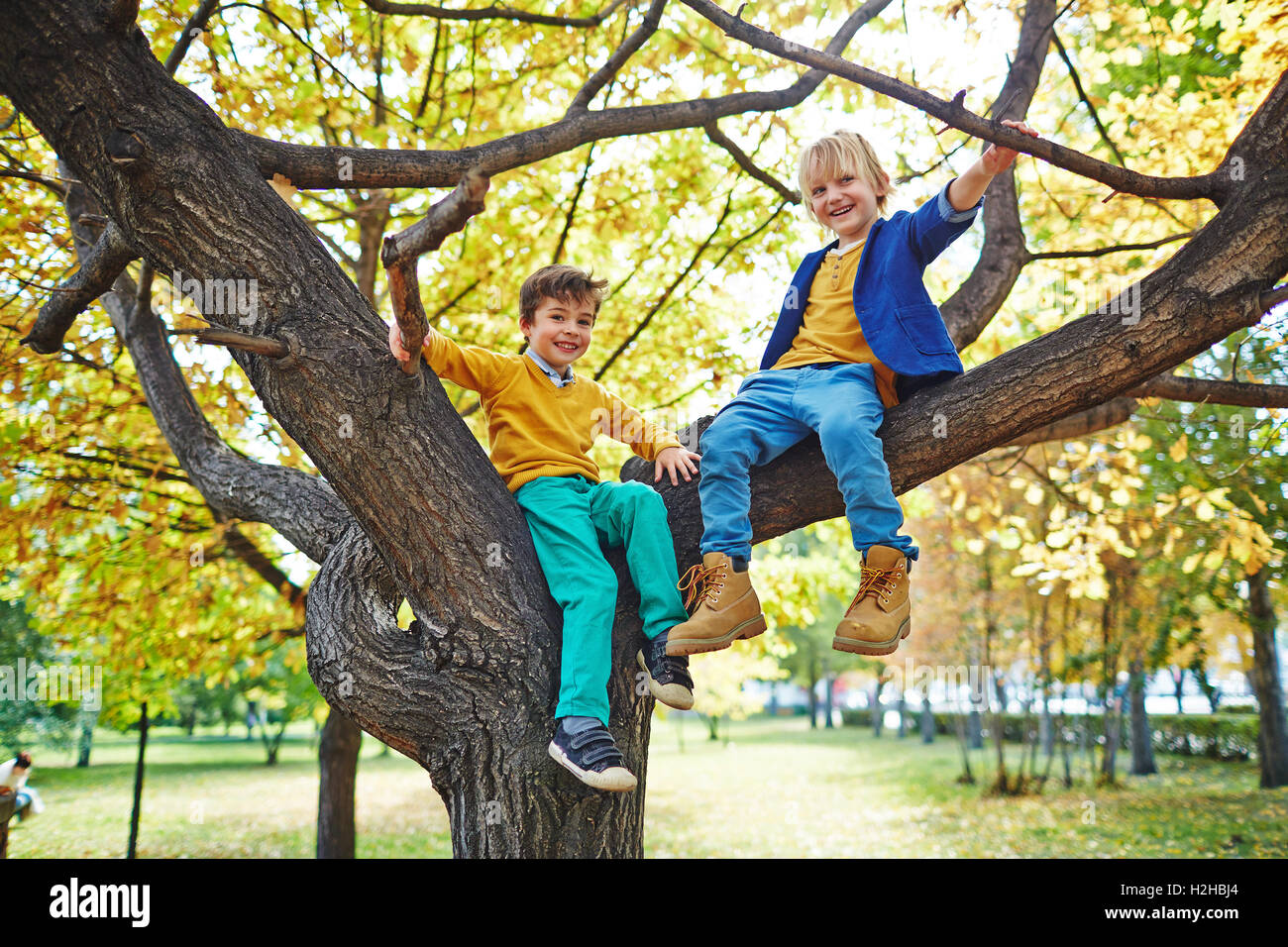 Two friendly boys sitting on branch of tree Stock Photo - Alamy
