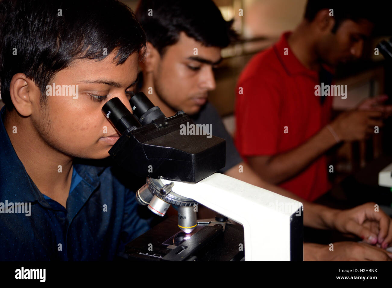 Young students observing in the Laboratory Stock Photo - Alamy
