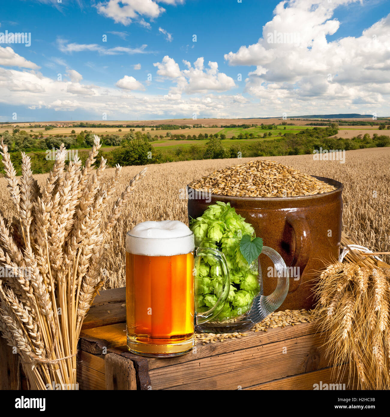glass of beer with hops and barley Stock Photo - Alamy