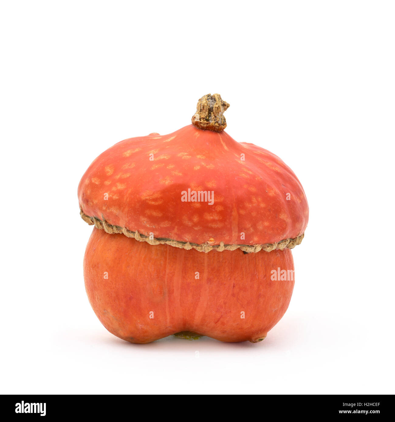 a peculiar pumpkin on a white background Stock Photo - Alamy