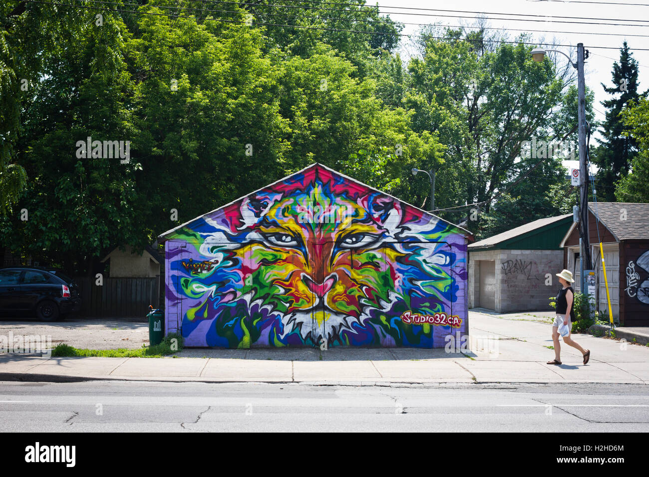 A pedestrian walks towards a graffitied shed in Toronto, Canada Stock ...