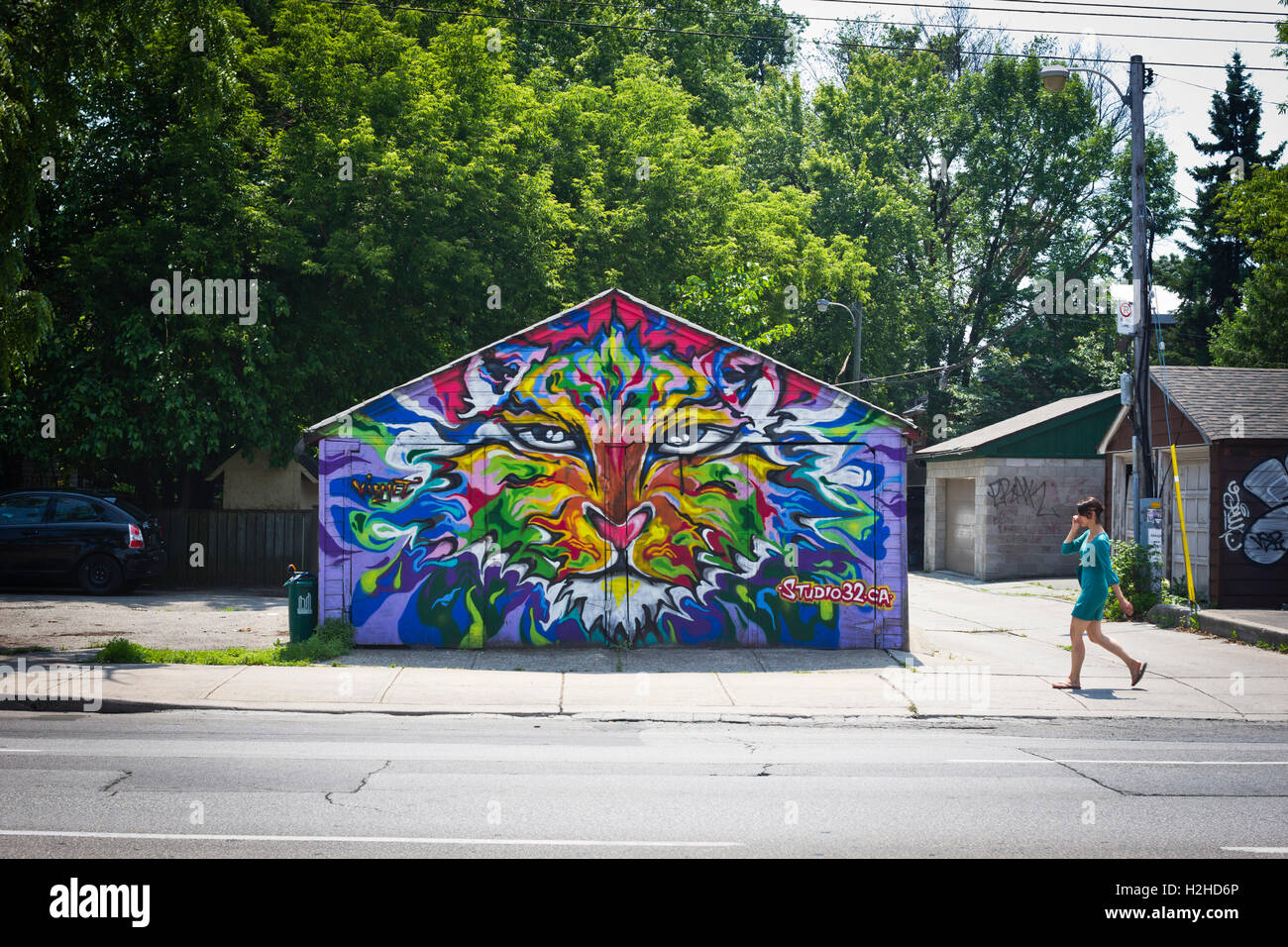 A pedestrian walks towards a graffitied shed in Toronto, Canada Stock ...