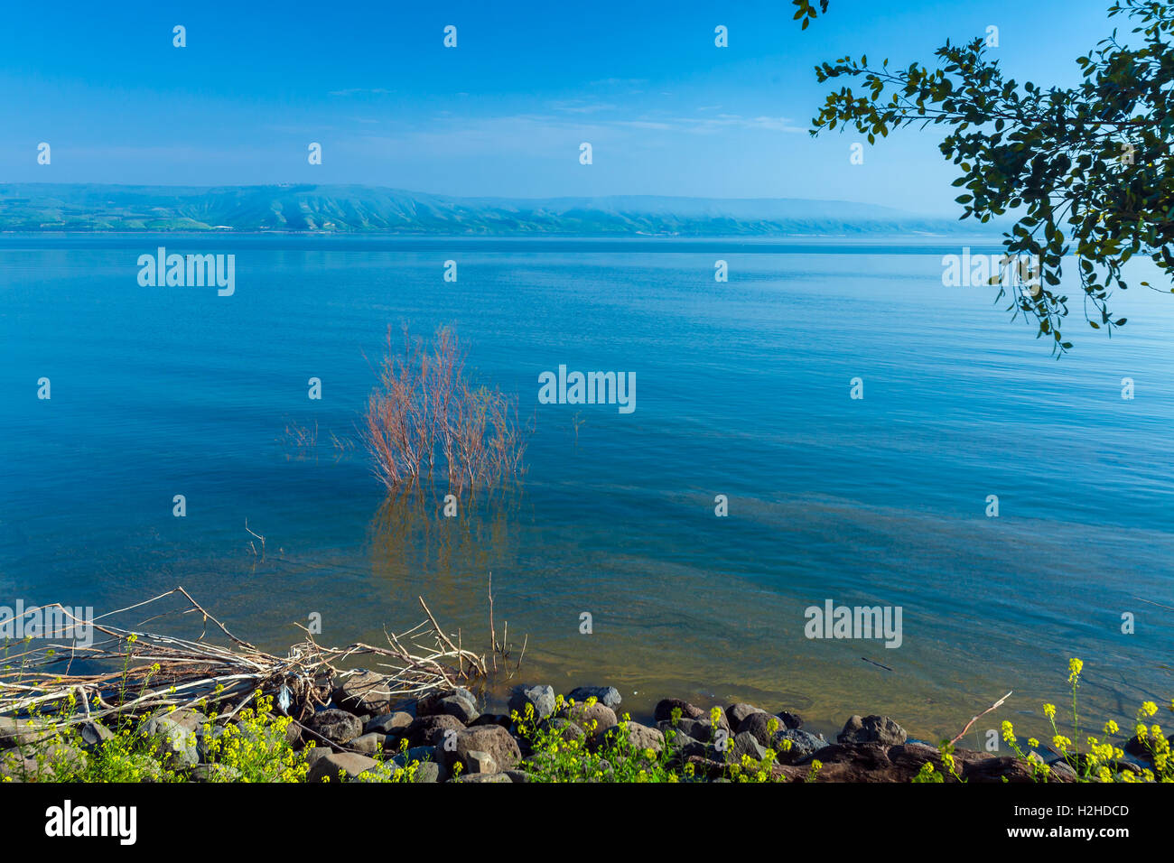 Landscape around Galilee Sea - Kinneret Lake, Israel Stock Photo - Alamy