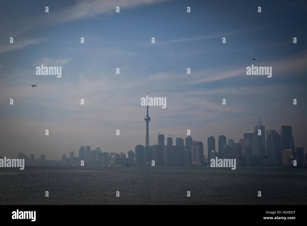 A view of the CN Tower from the islands in Toronto, Canada Stock Photo ...