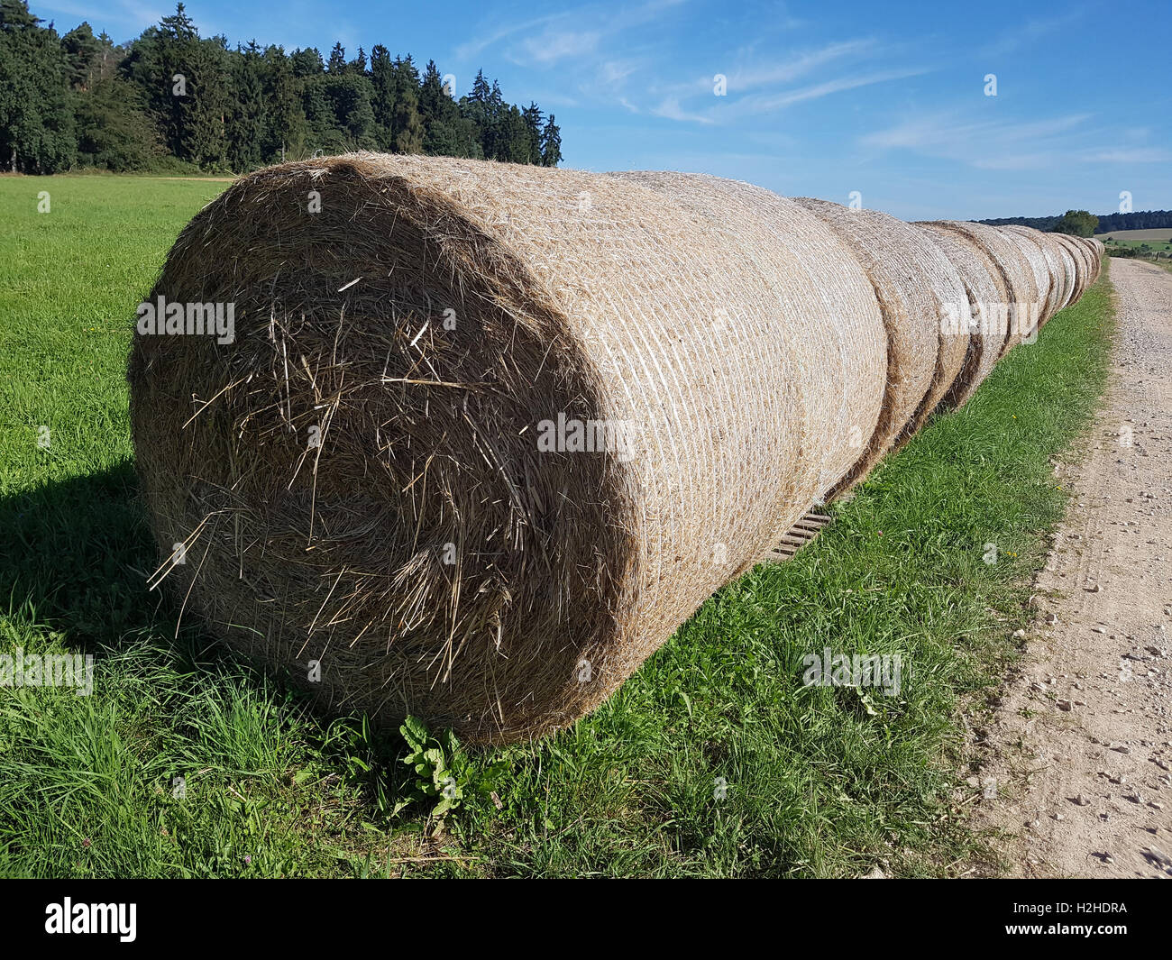 Heuballen hi-res stock photography and images - Alamy