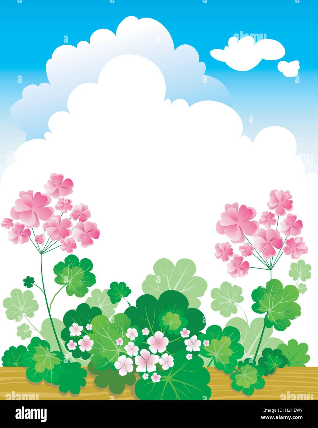 Geranium summer background Stock Vector Image & Art - Alamy