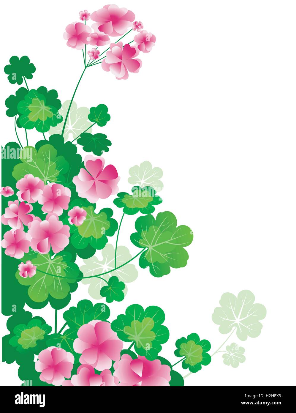 Geranium perennial Stock Vector Images - Alamy