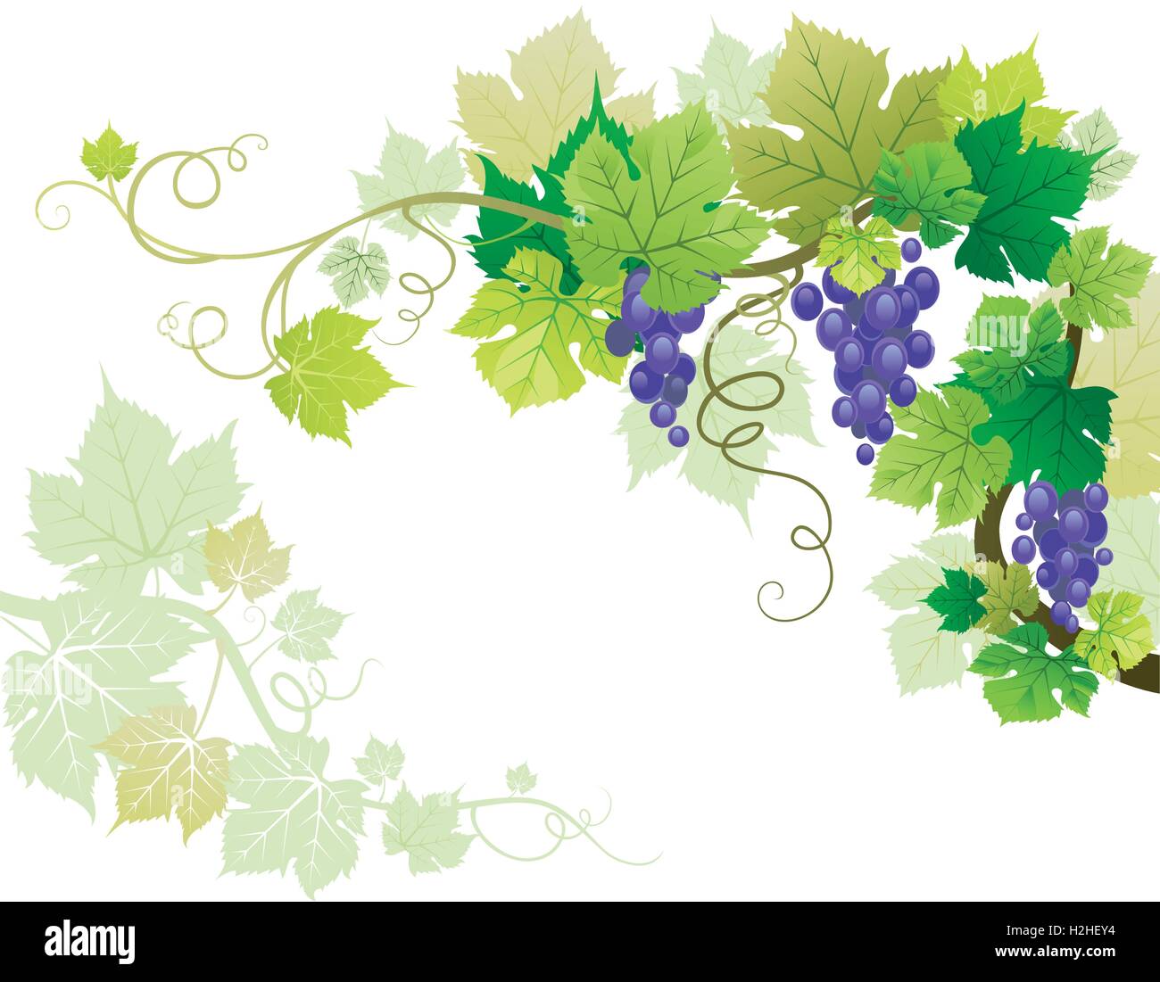 Grapes gathering Stock Vector Images - Alamy