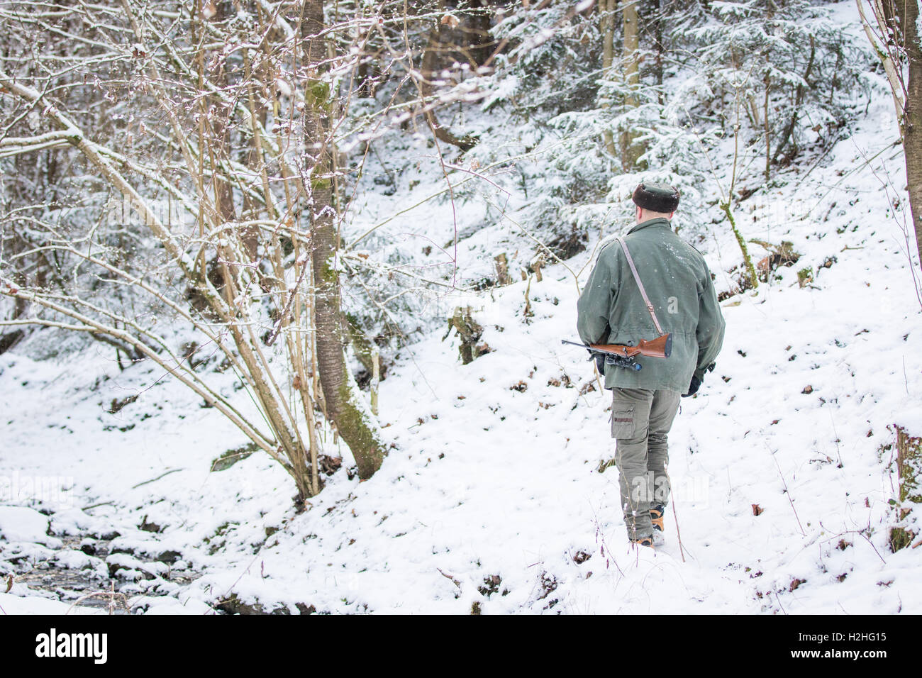 Hunter sets off. Hunter walking in the forest Stock Photo - Alamy