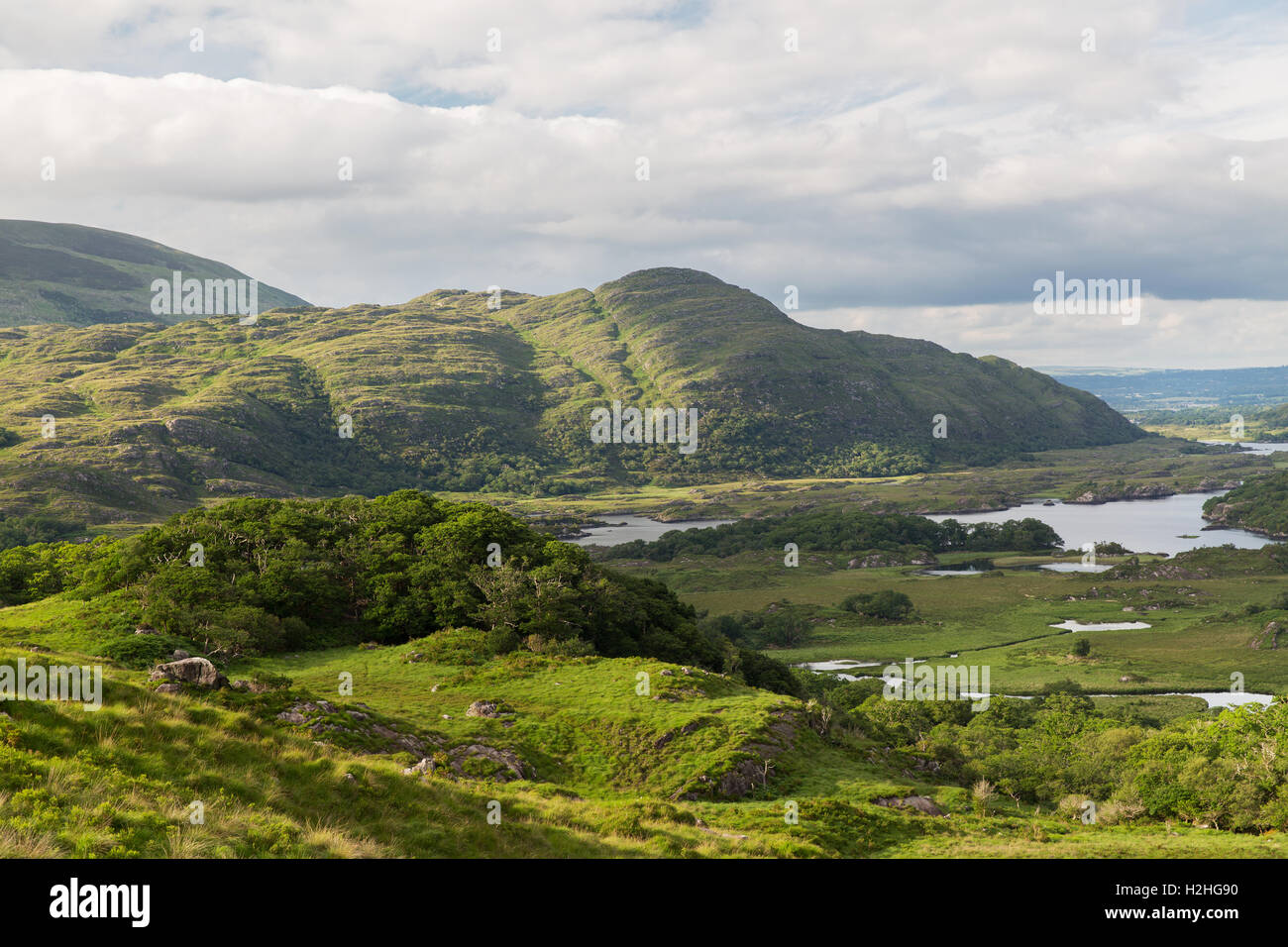 river at Killarney National Park valley in ireland Stock Photo - Alamy