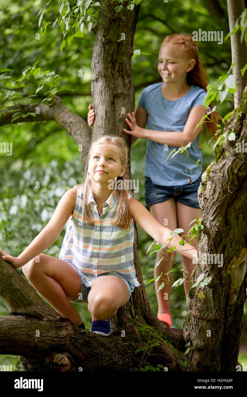 Child climbing up tree hi-res stock photography and images - Alamy