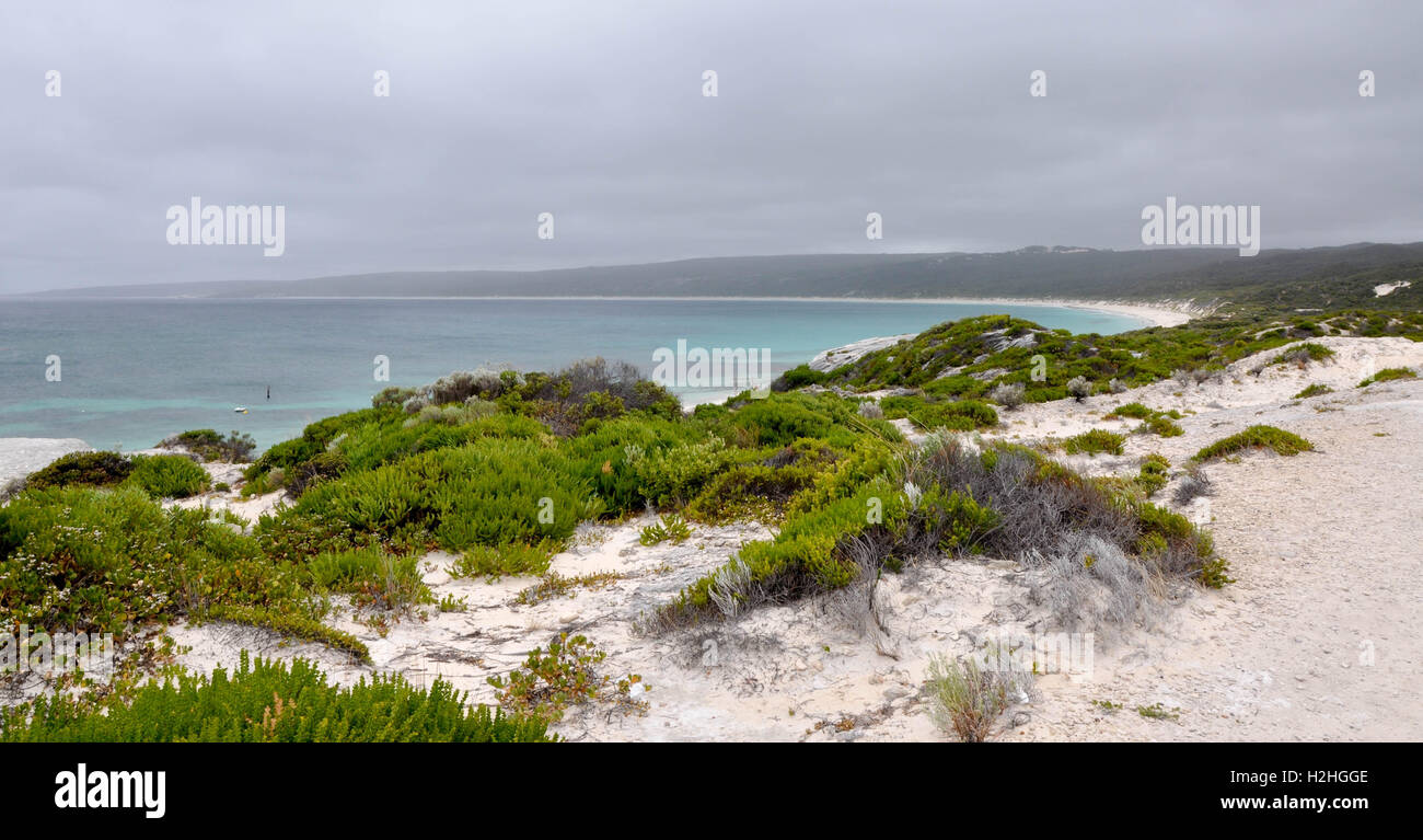 Limestone bluff at White Cliff Point with vegetated dunes overlooking ...