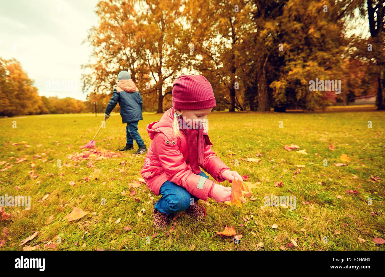 children collecting leaves in autumn park Stock Photo - Alamy