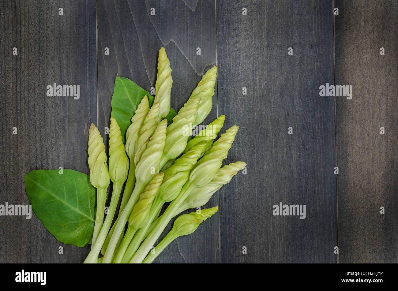 Ipomoea alba moonflower hi-res stock photography and images - Alamy