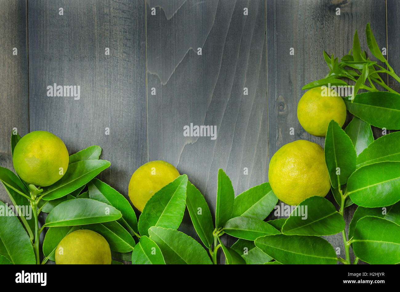 Lime green textured background hi-res stock photography and images - Alamy
