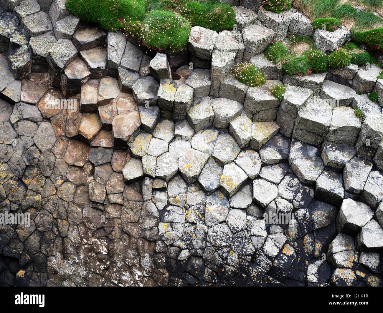 Basalt Formation On Island Scotland High Resolution Stock Photography ...