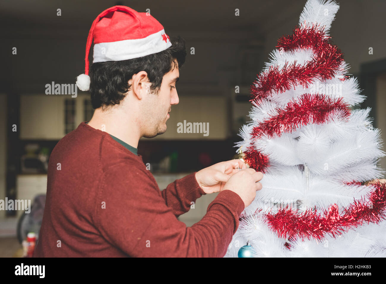 Half length profile of young handsome caucasian brown man with Santa ...