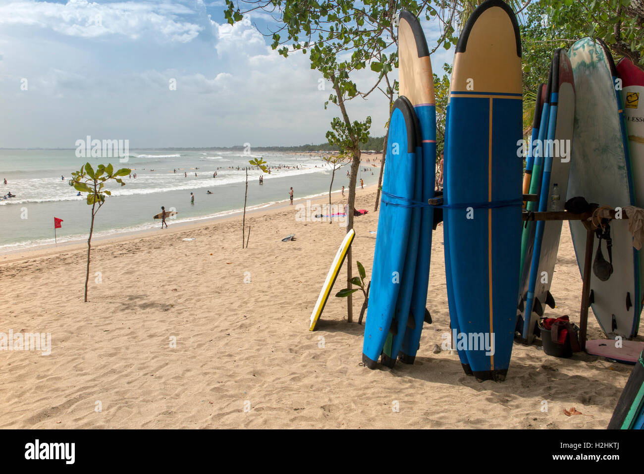 Surf boards hi-res stock photography and images - Alamy
