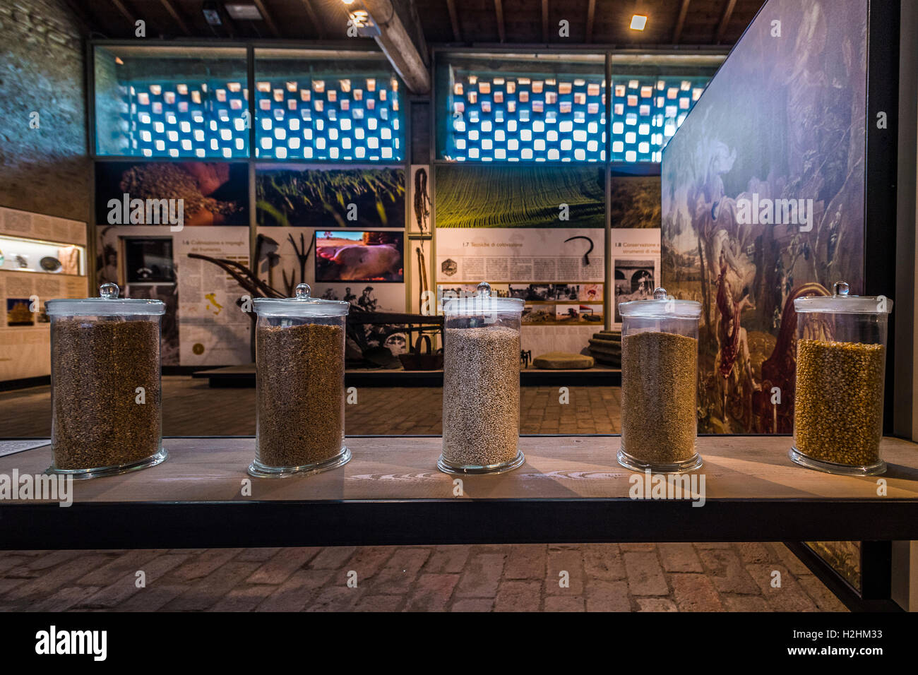 Pasta museum hi-res stock photography and images - Alamy