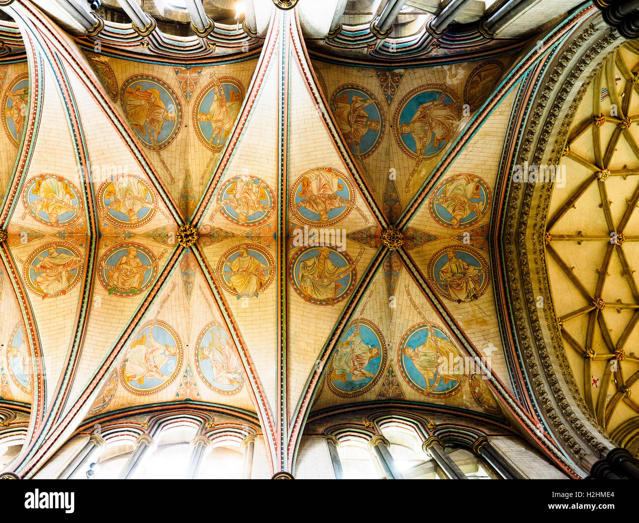 Rib vault ceiling above clerestory windows in the Salisbury Cathedral ...