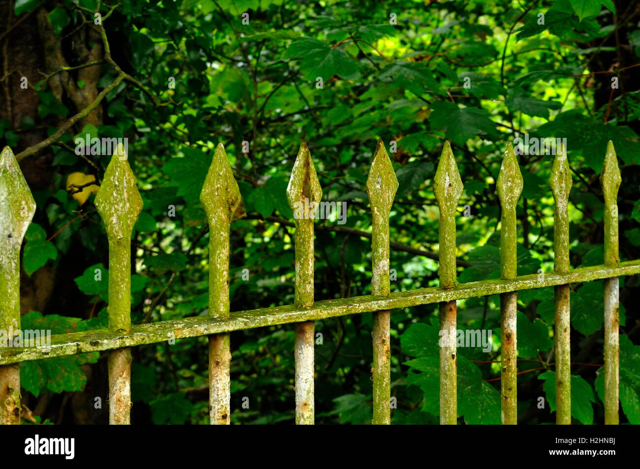 Gradual decay hi-res stock photography and images - Alamy