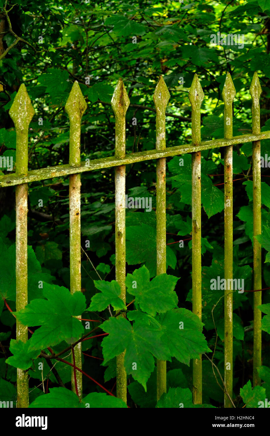 Gradual decay hi-res stock photography and images - Alamy