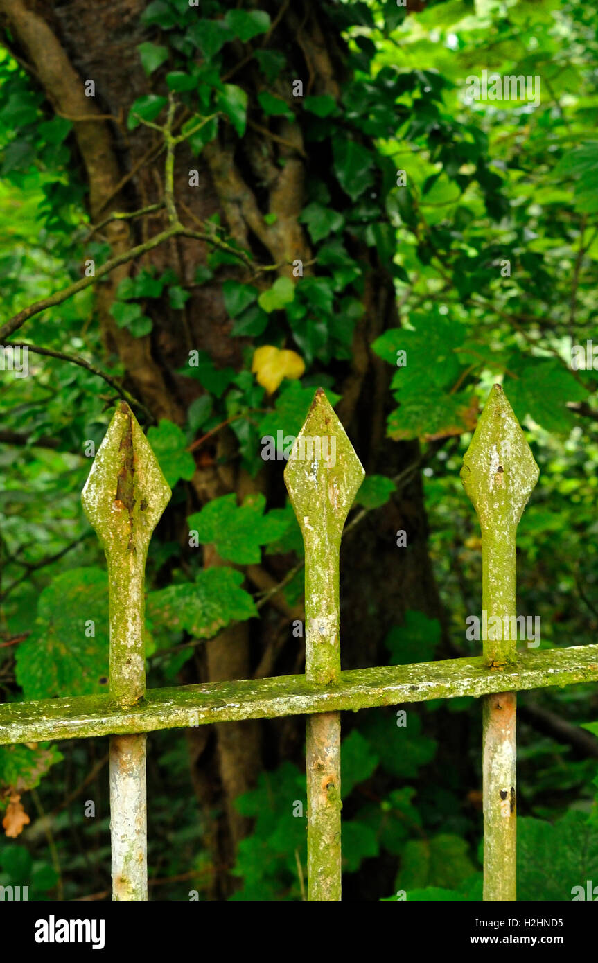 Gradual decay hi-res stock photography and images - Alamy